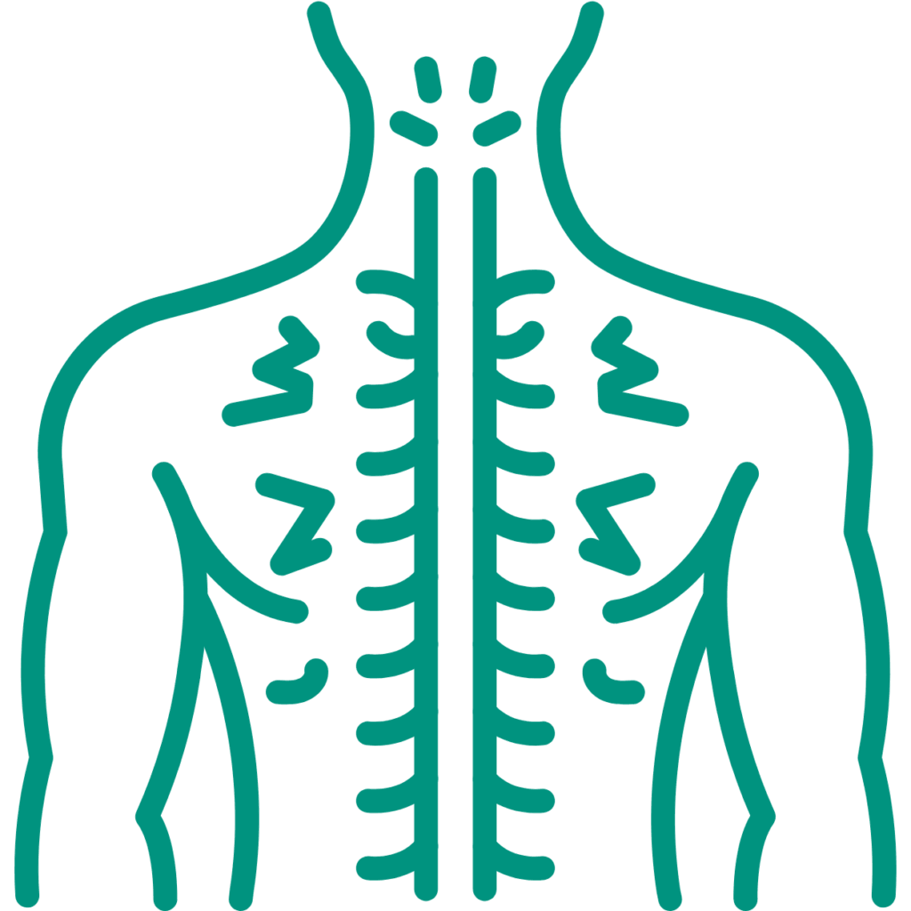 Neurology - Brain and Spine